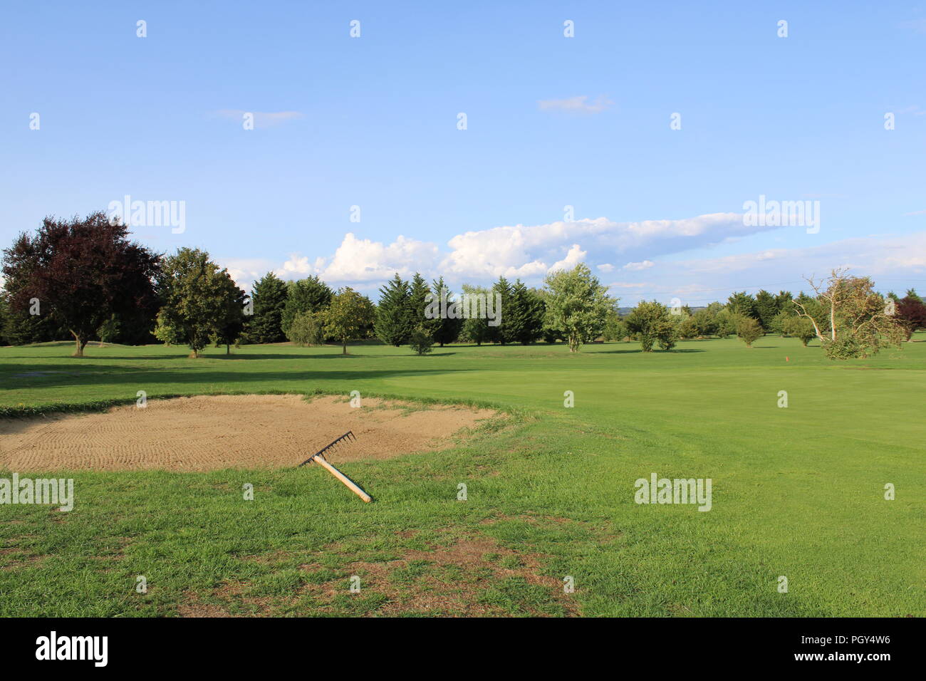 Dog golf club hi-res stock photography and images - Alamy