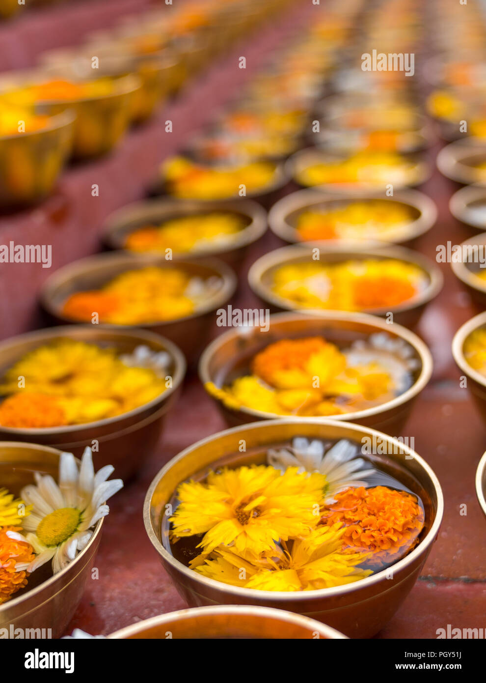 Buddhist flower offerings or gifts in bowls and rows. Buddhism religion ...