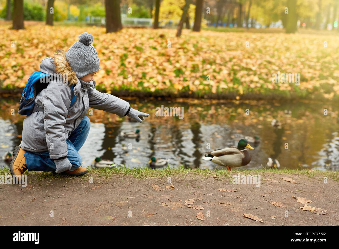 Boy pointing bird hi-res stock photography and images - Alamy