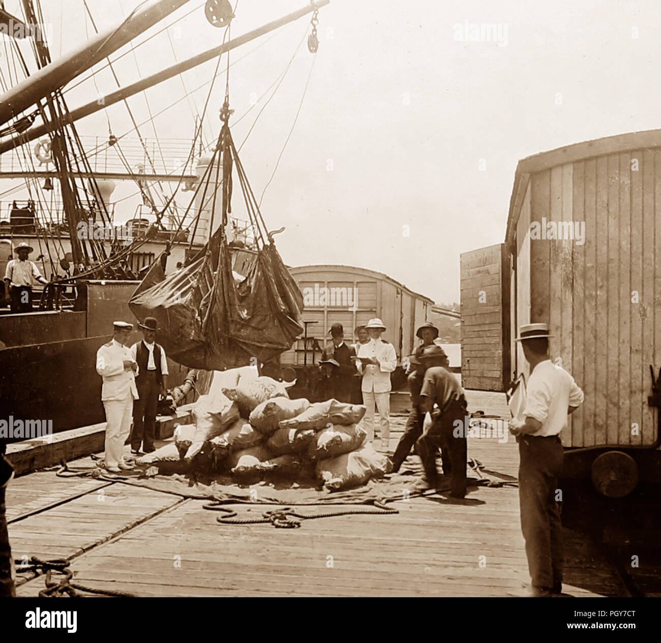 Loading beef for export, Brisbane, Australia, early 1900s Stock Photo ...