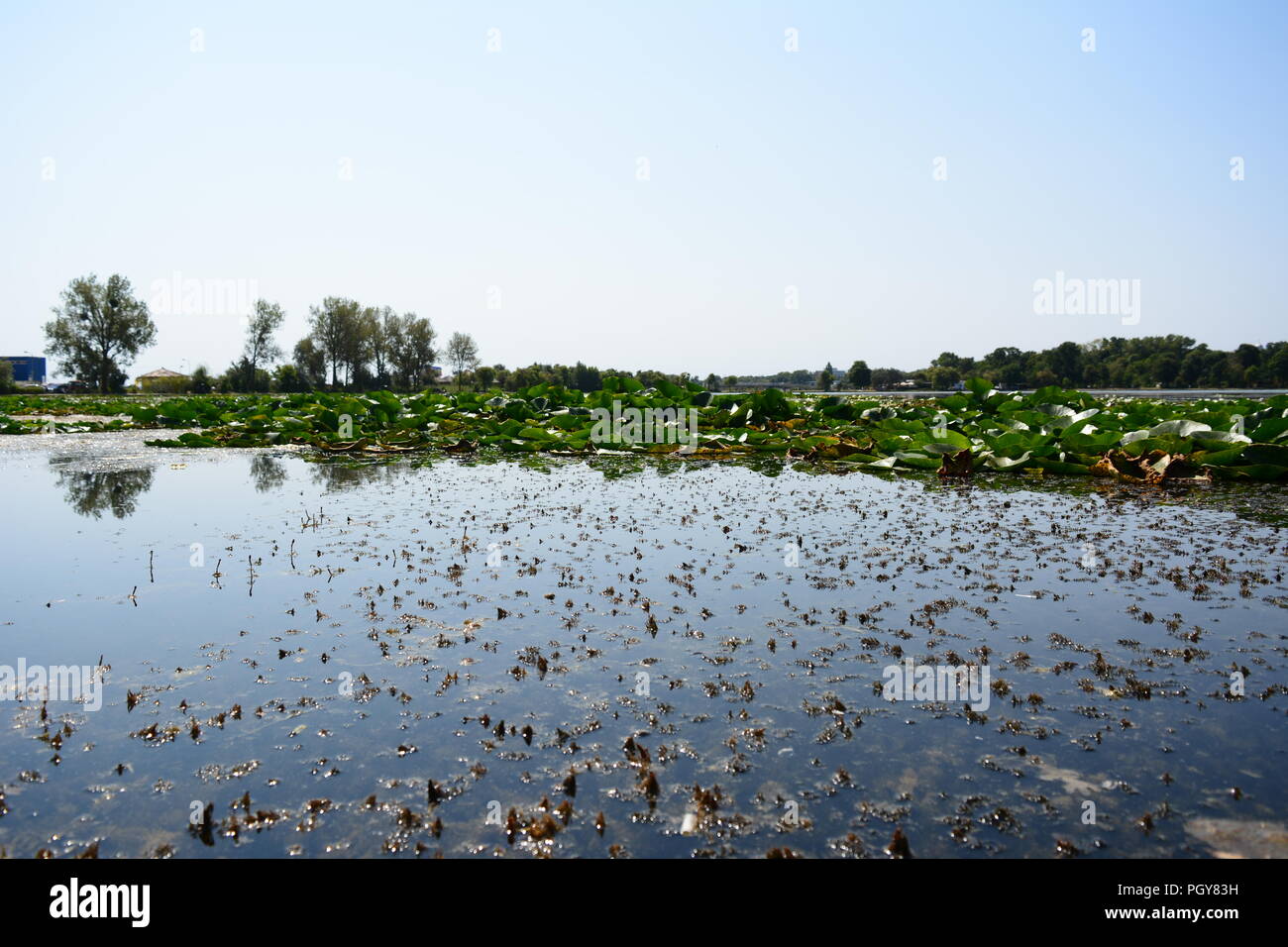 The lake Neptune from the station Neptune in Constanta, Romania filled ...