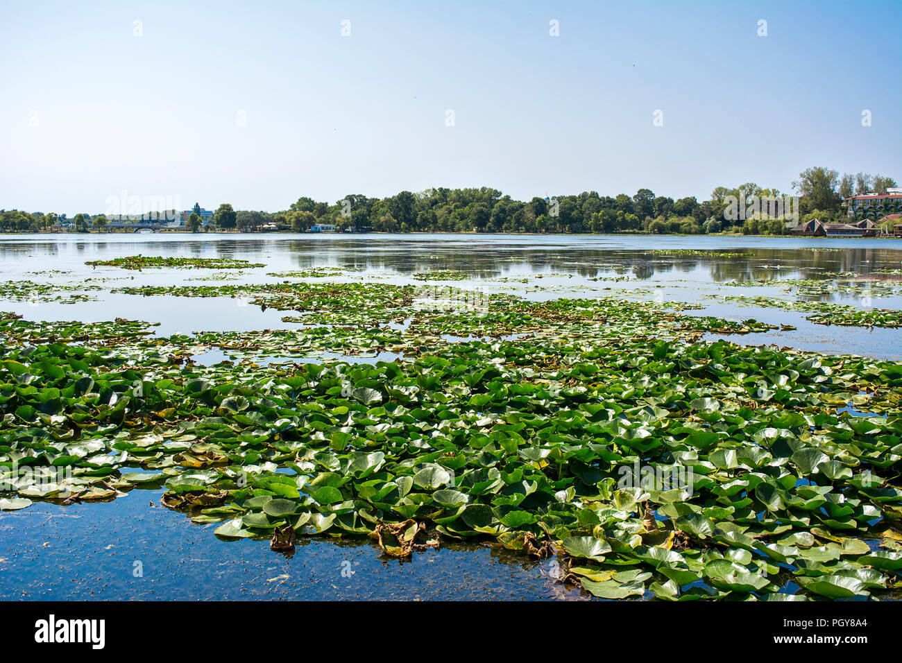 The lake Neptune from the station Neptune in Constanta, Romania filled ...