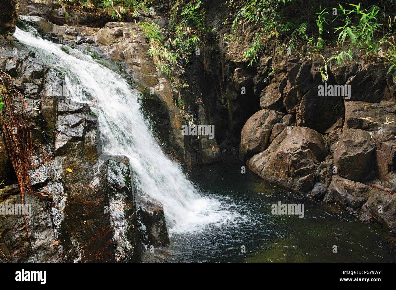 Chang nonsi hi-res stock photography and images - Alamy