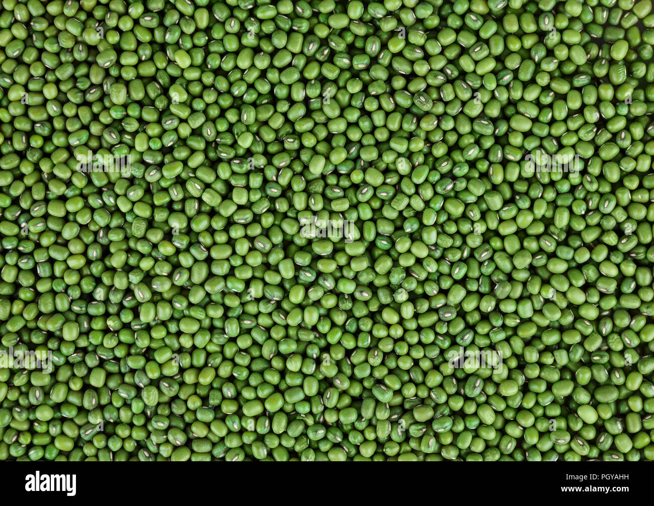 Mung beans background Stock Photo - Alamy