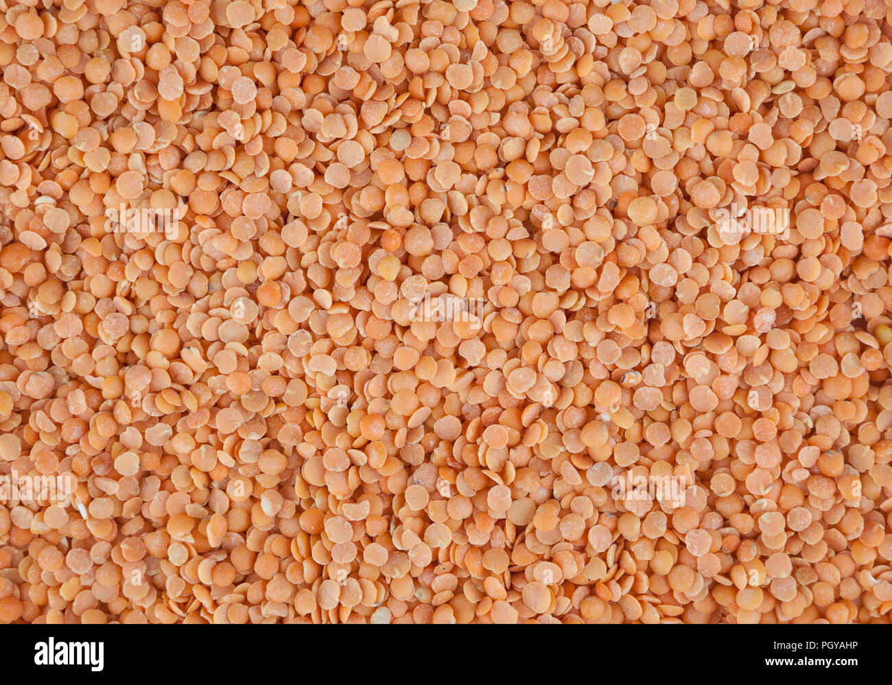 Red lentil background Stock Photo - Alamy