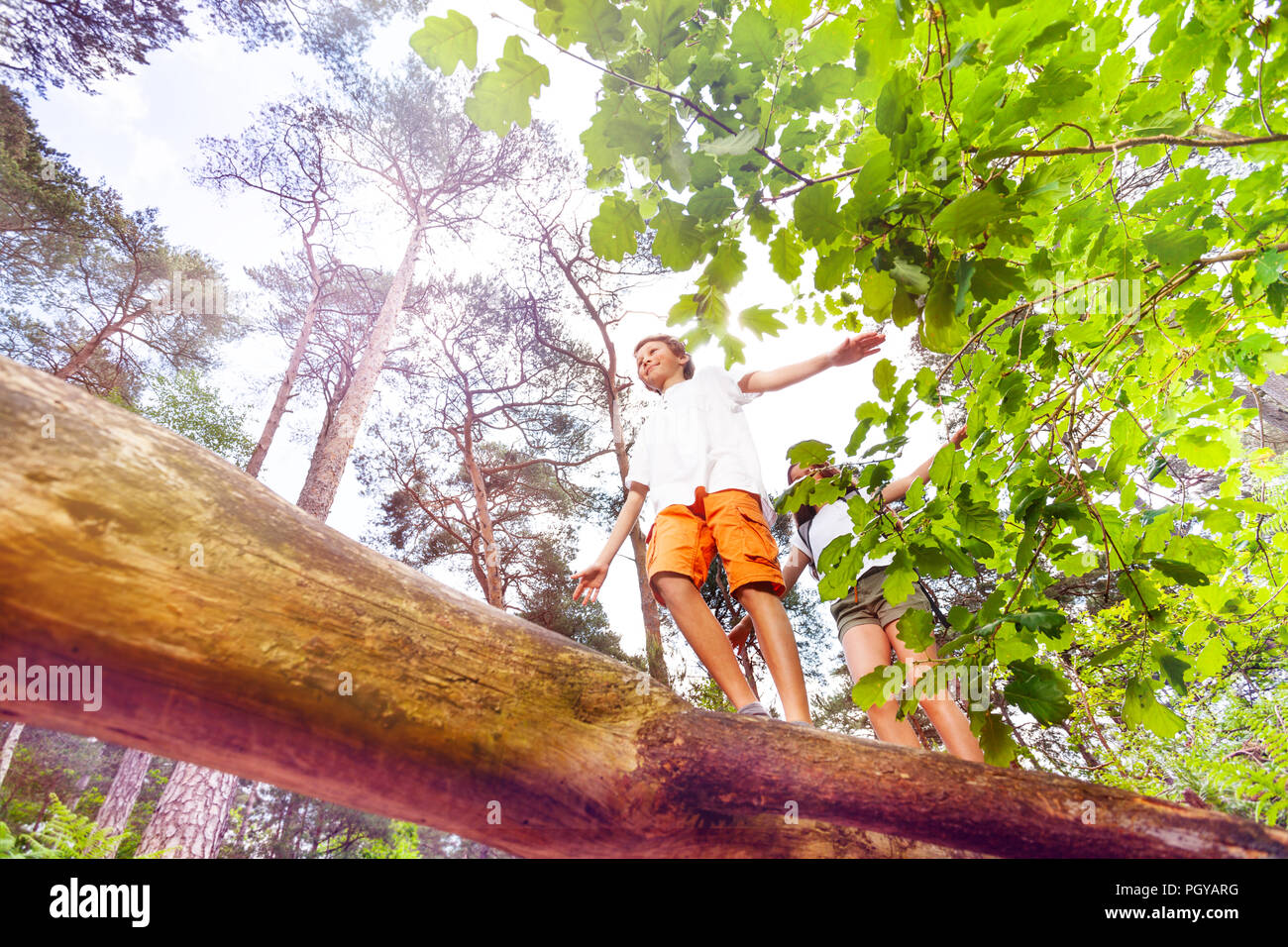 Boy and girl walking over big log in the forest during summer activity ...