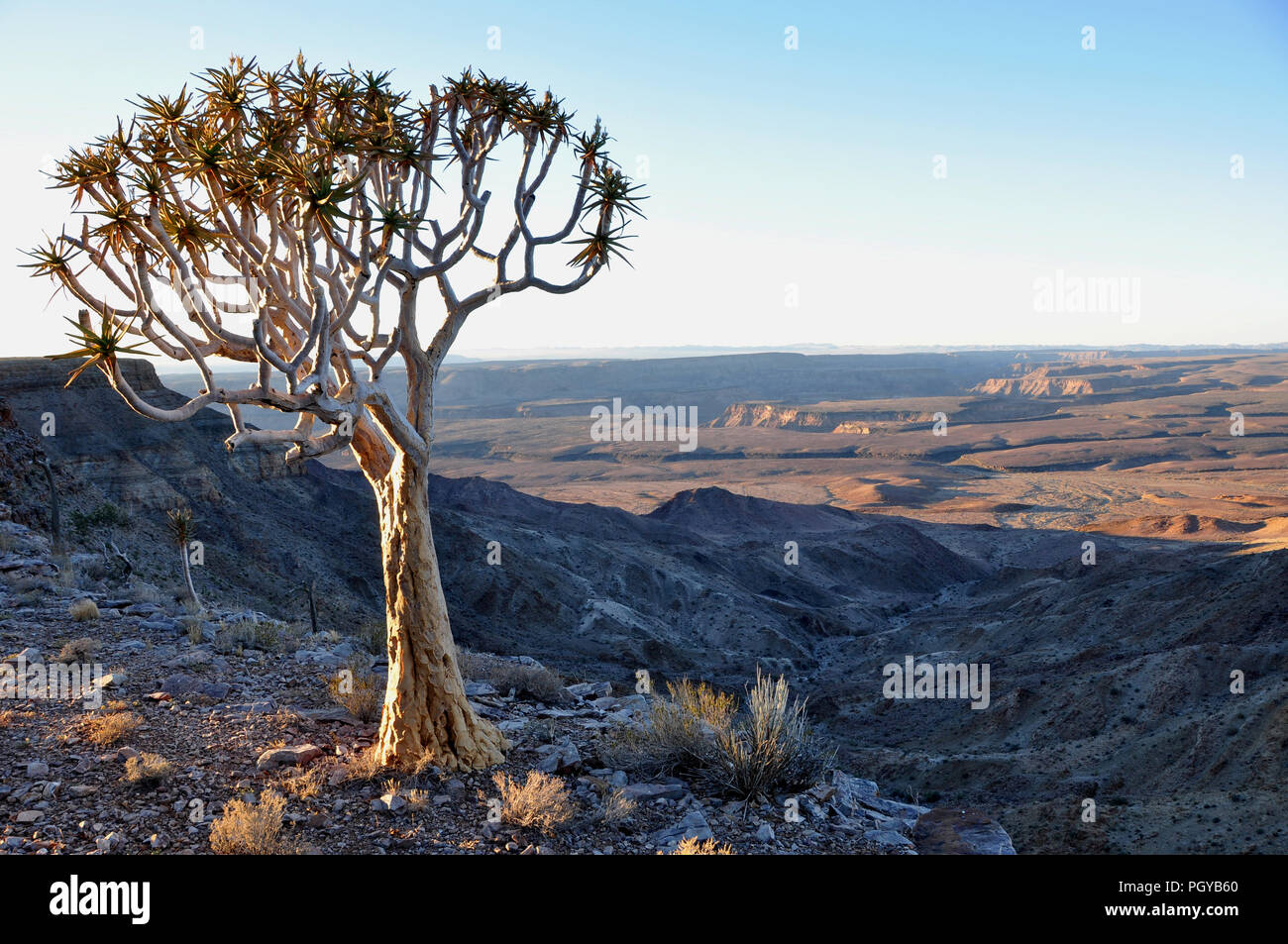 Namibia: Breathtaking view of the Fish River Canyon from Rockefeller's ...