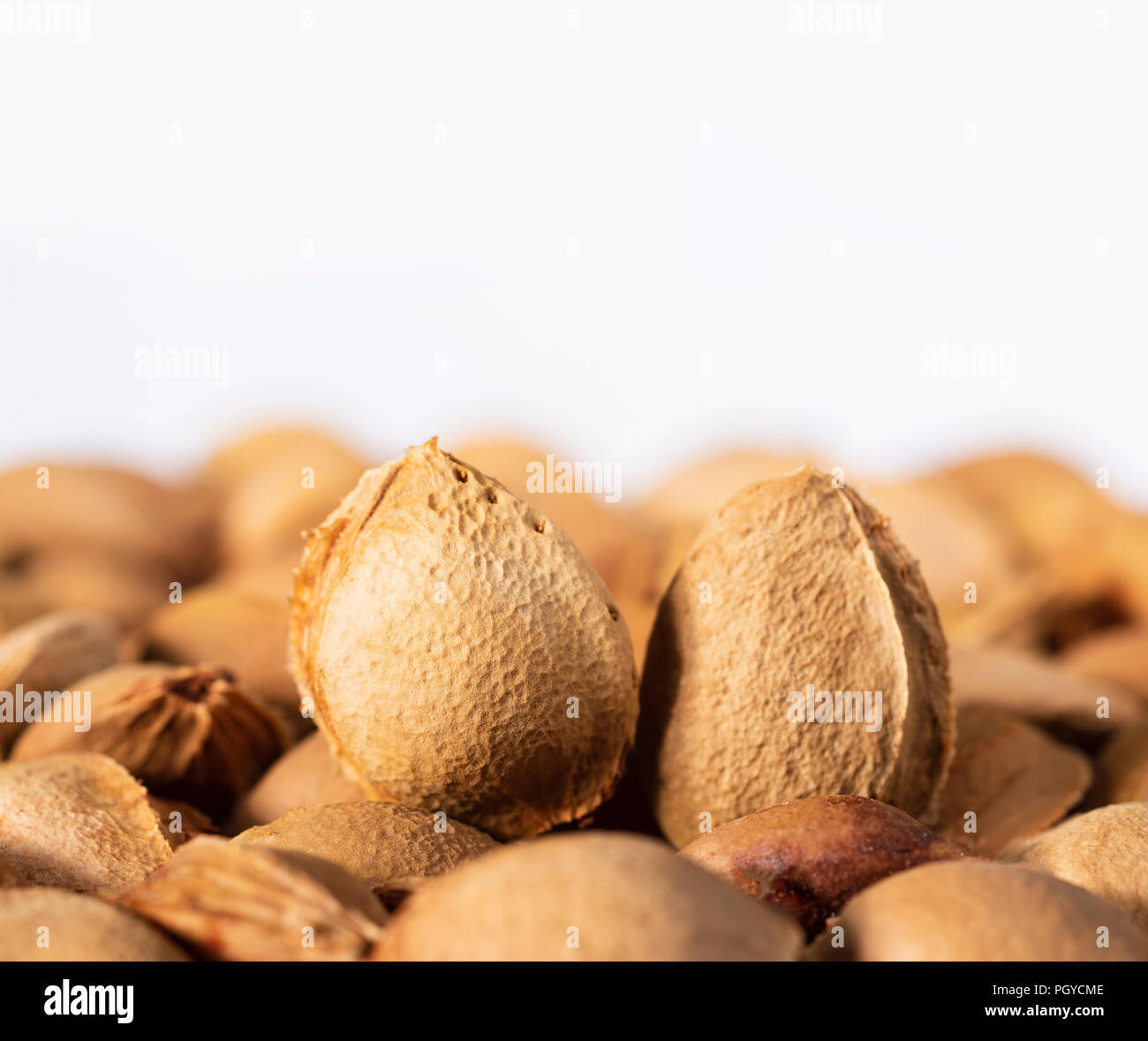 Apricot seed hi-res stock photography and images - Alamy