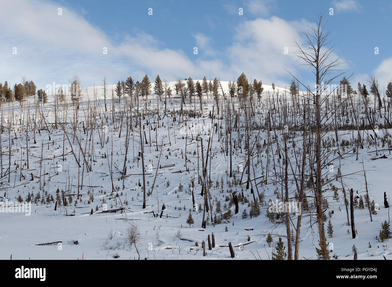 Storm Damage Winter Storm Damage High Resolution Stock Photography and ...