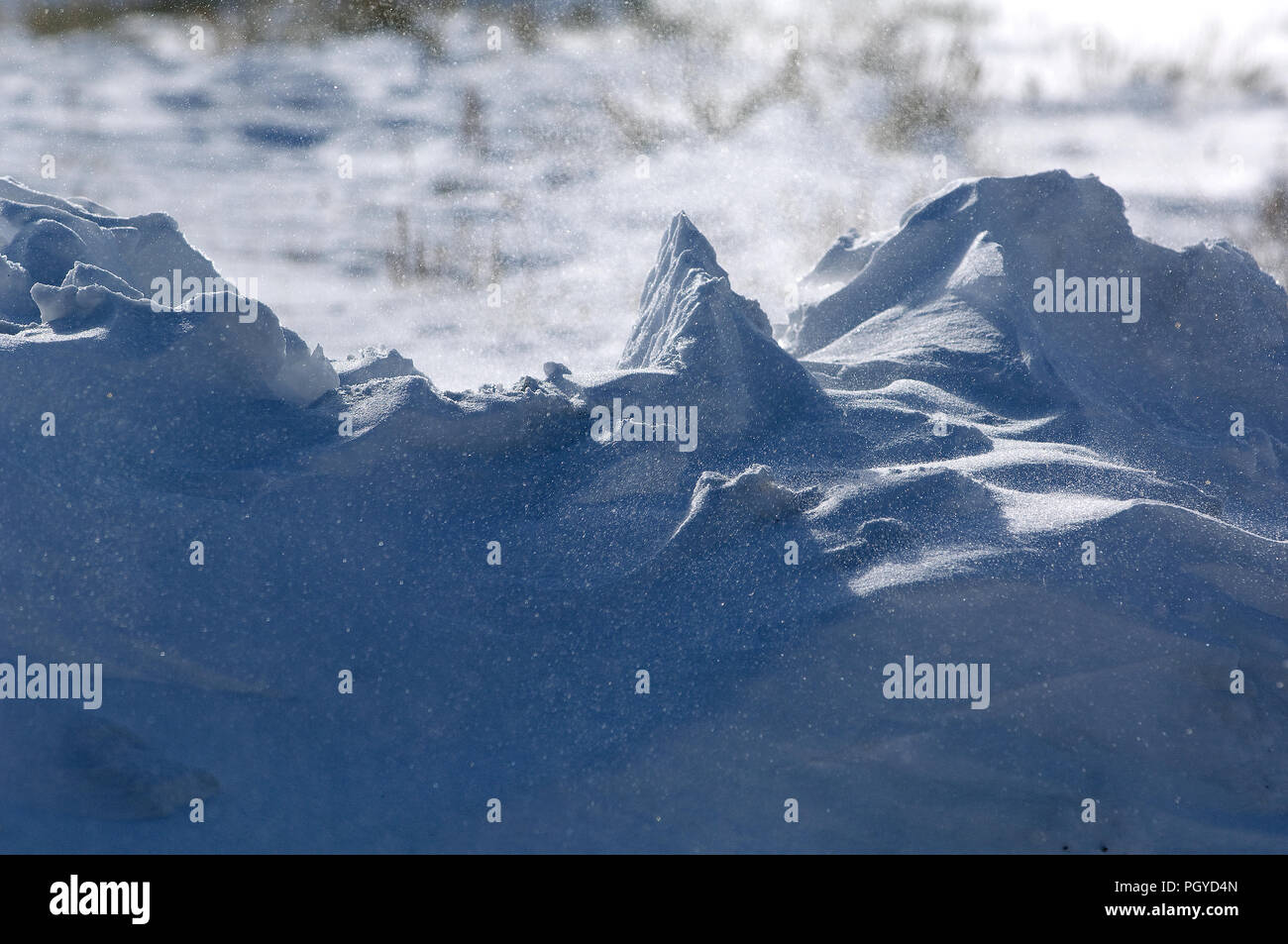 Snow and wind Stock Photo - Alamy