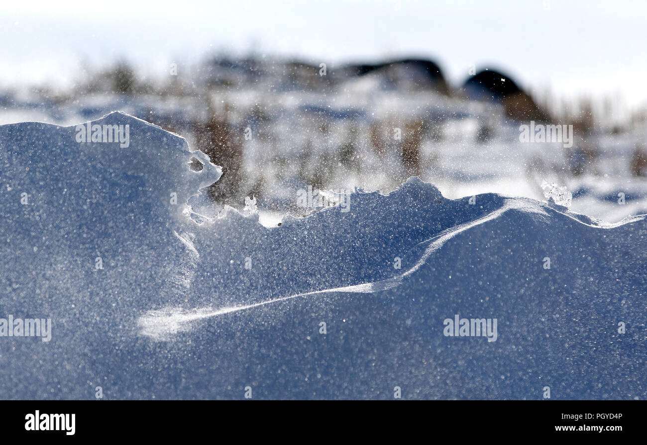 Snow and wind Stock Photo - Alamy