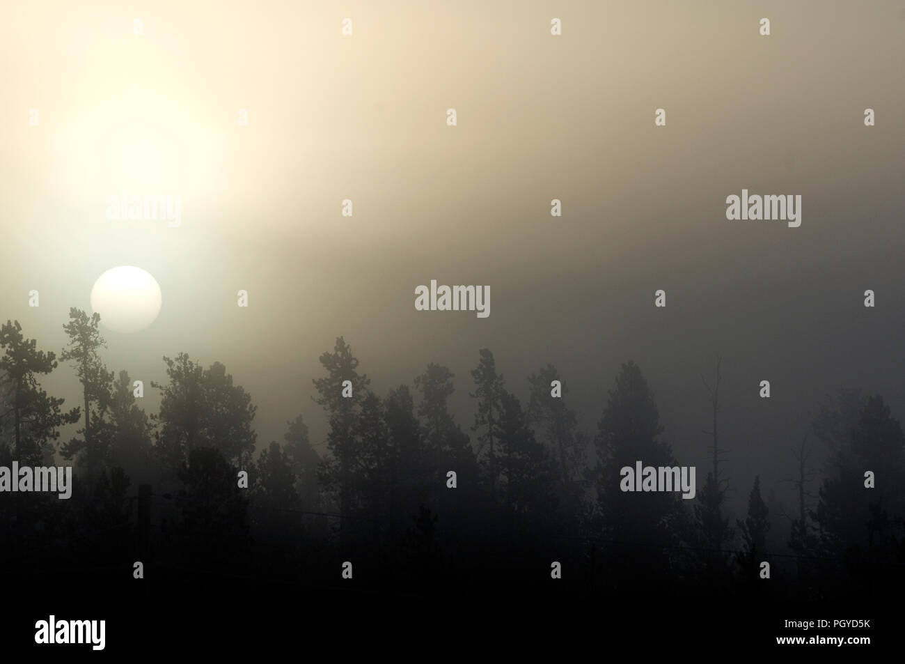 Sunrise and fog Stock Photo - Alamy