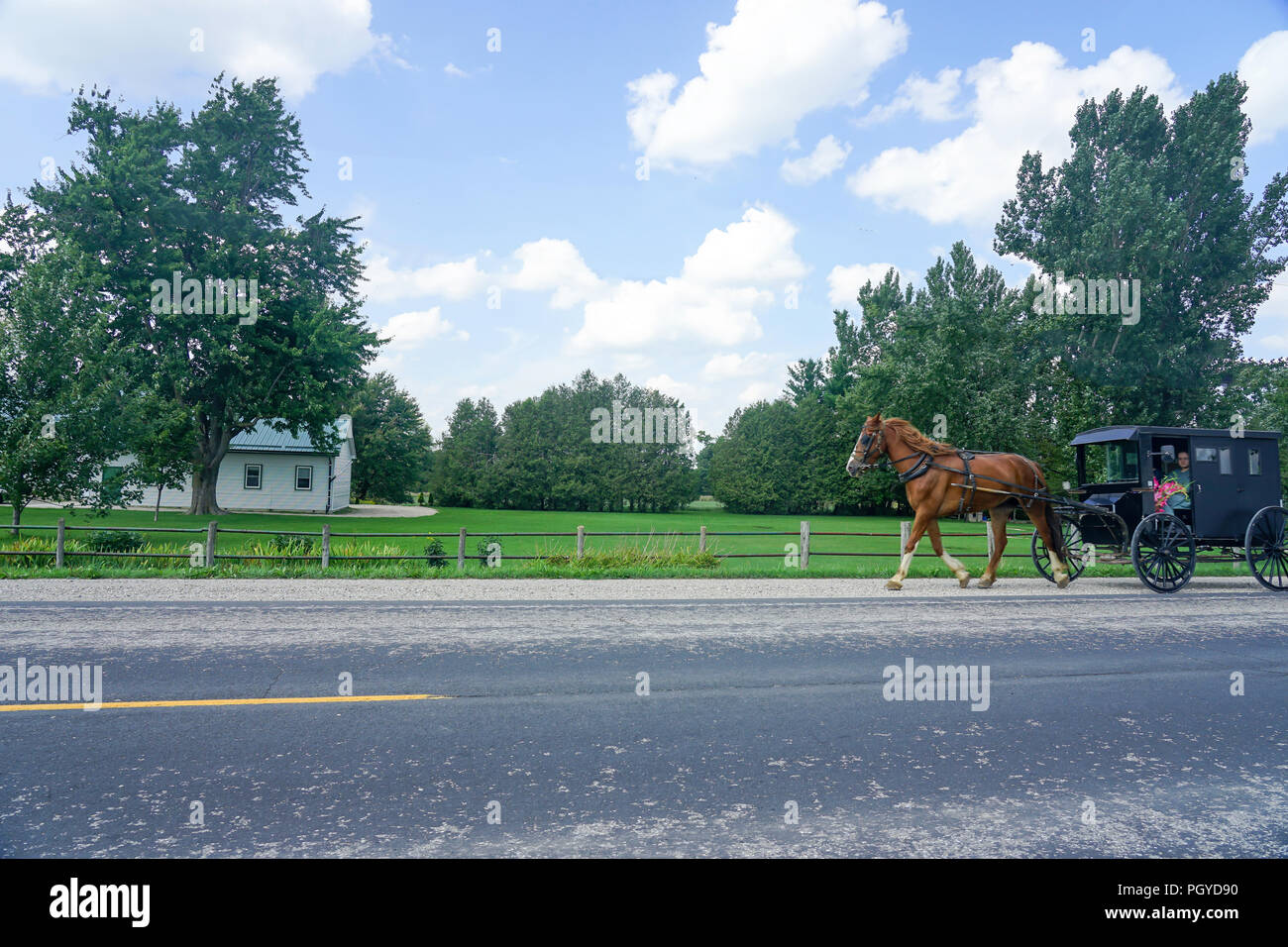 Mennonite Farms,Farmland and Horse and Buggy near Elmira in Ontario ...