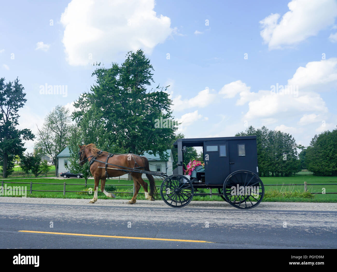 Mennonite Farms,Farmland and Horse and Buggy near Elmira in Ontario ...