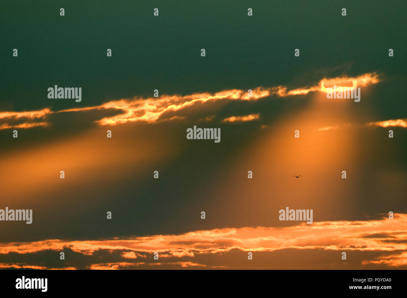 Lanscape sunset hi-res stock photography and images - Alamy
