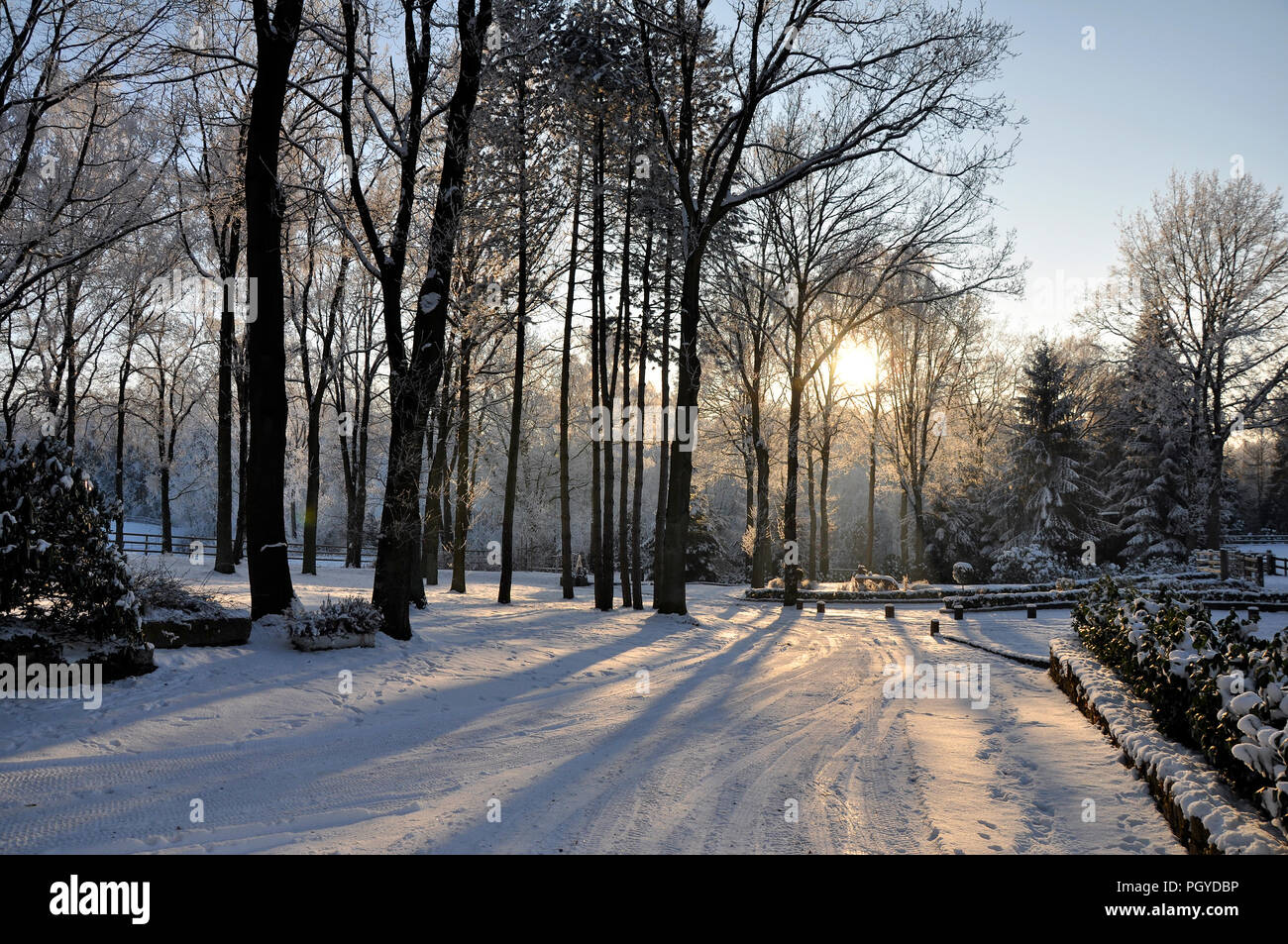Winter - Snow Stock Photo - Alamy