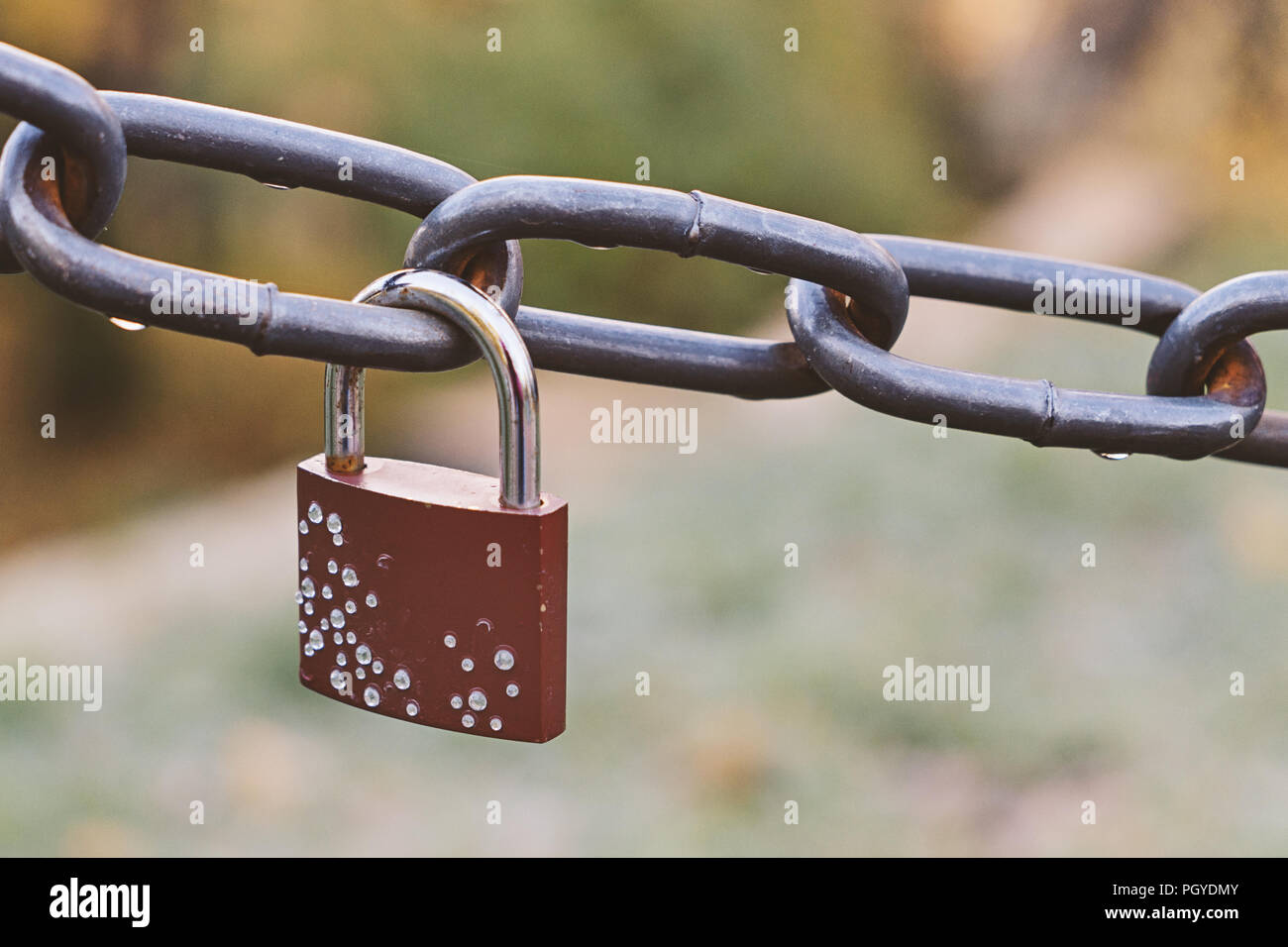 Close up view of red padlock on chain on natural blurred background ...