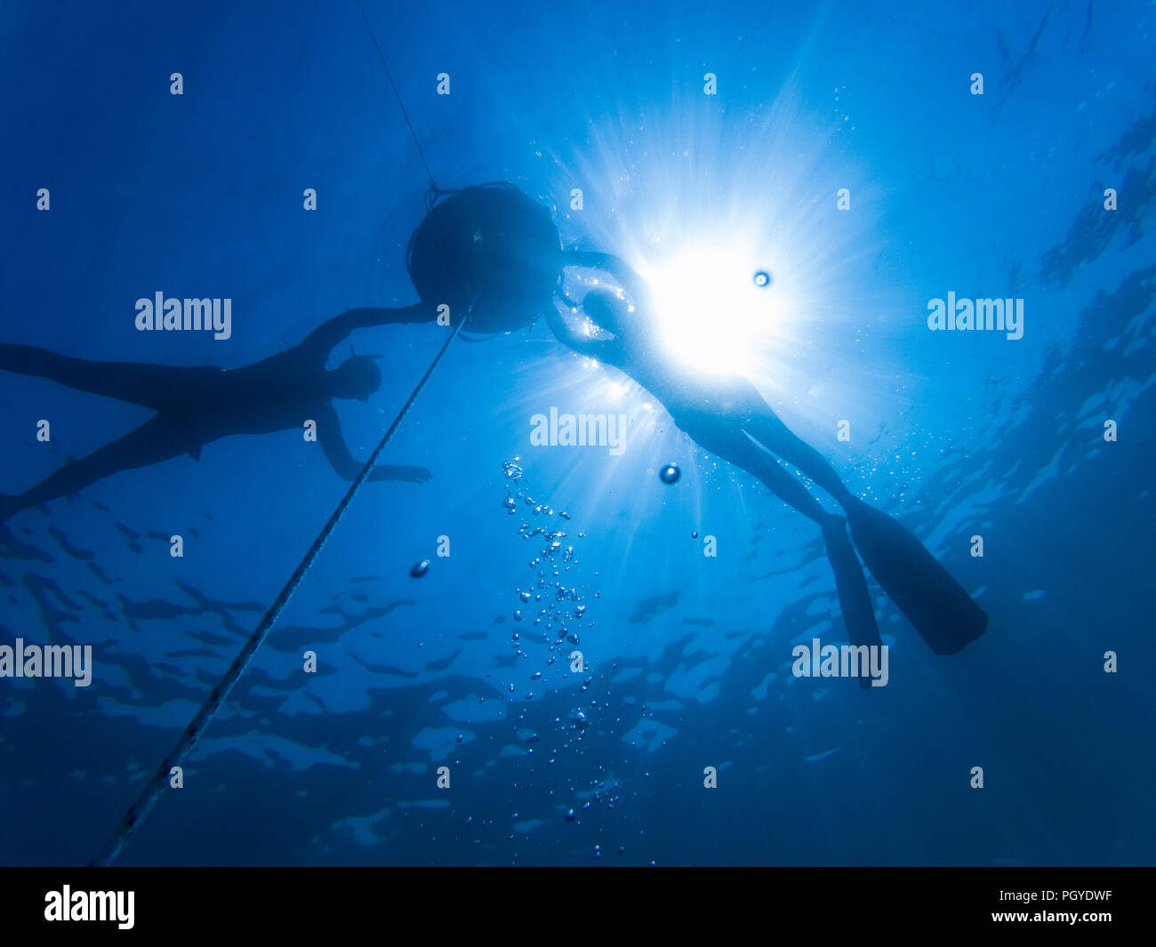 Woman apnea underwater hi-res stock photography and images - Alamy