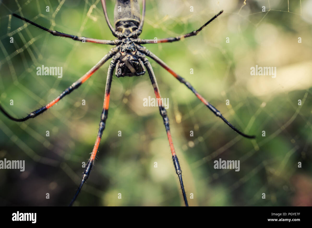 Afraight hi-res stock photography and images - Alamy