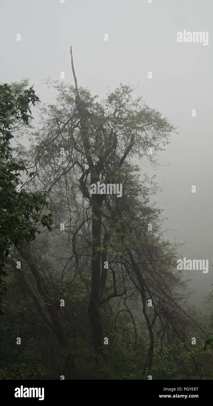 Mornings with nature hi-res stock photography and images - Alamy