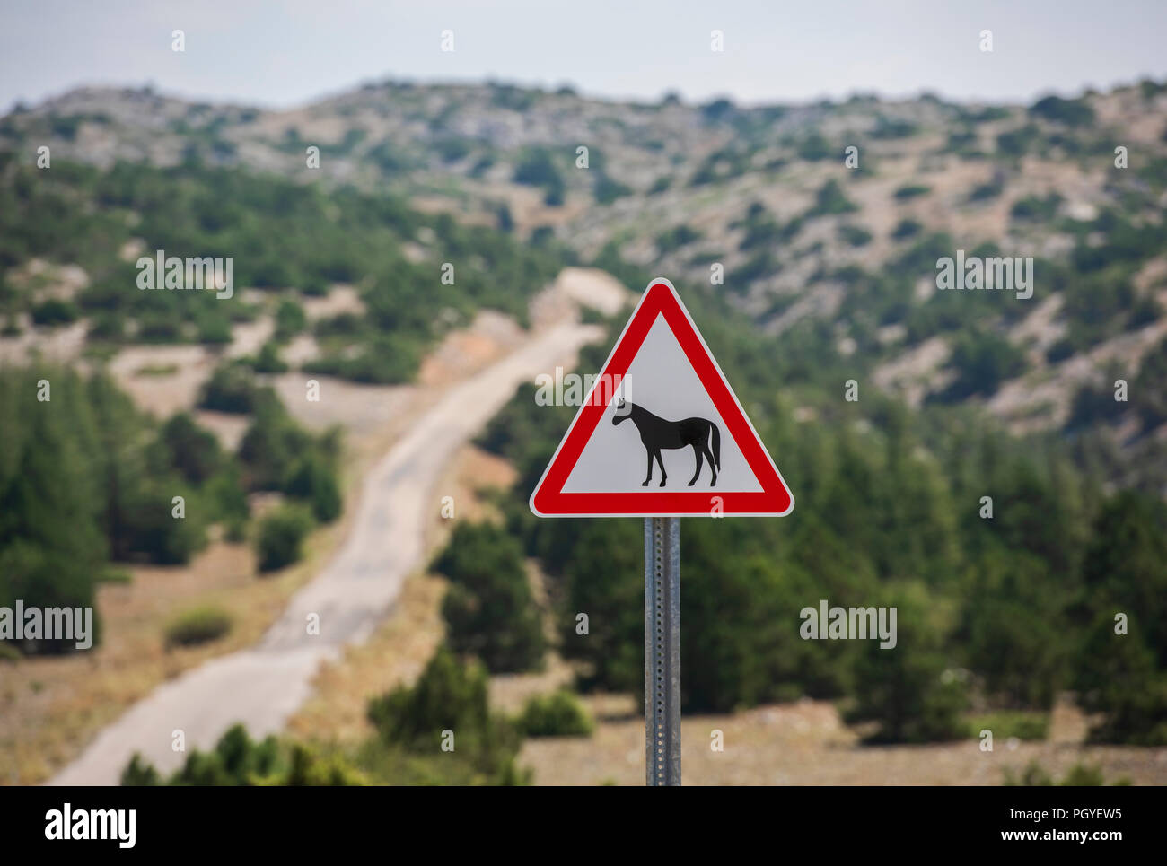 Horse Warning Sign Stock Photos & Horse Warning Sign Stock Images - Alamy
