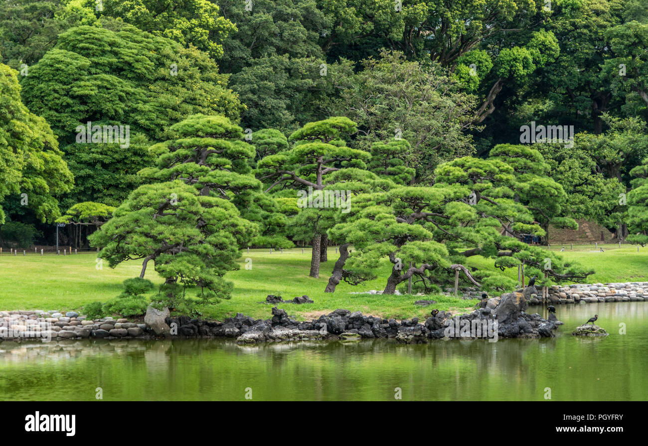 Urban forest tokyo hi-res stock photography and images - Alamy