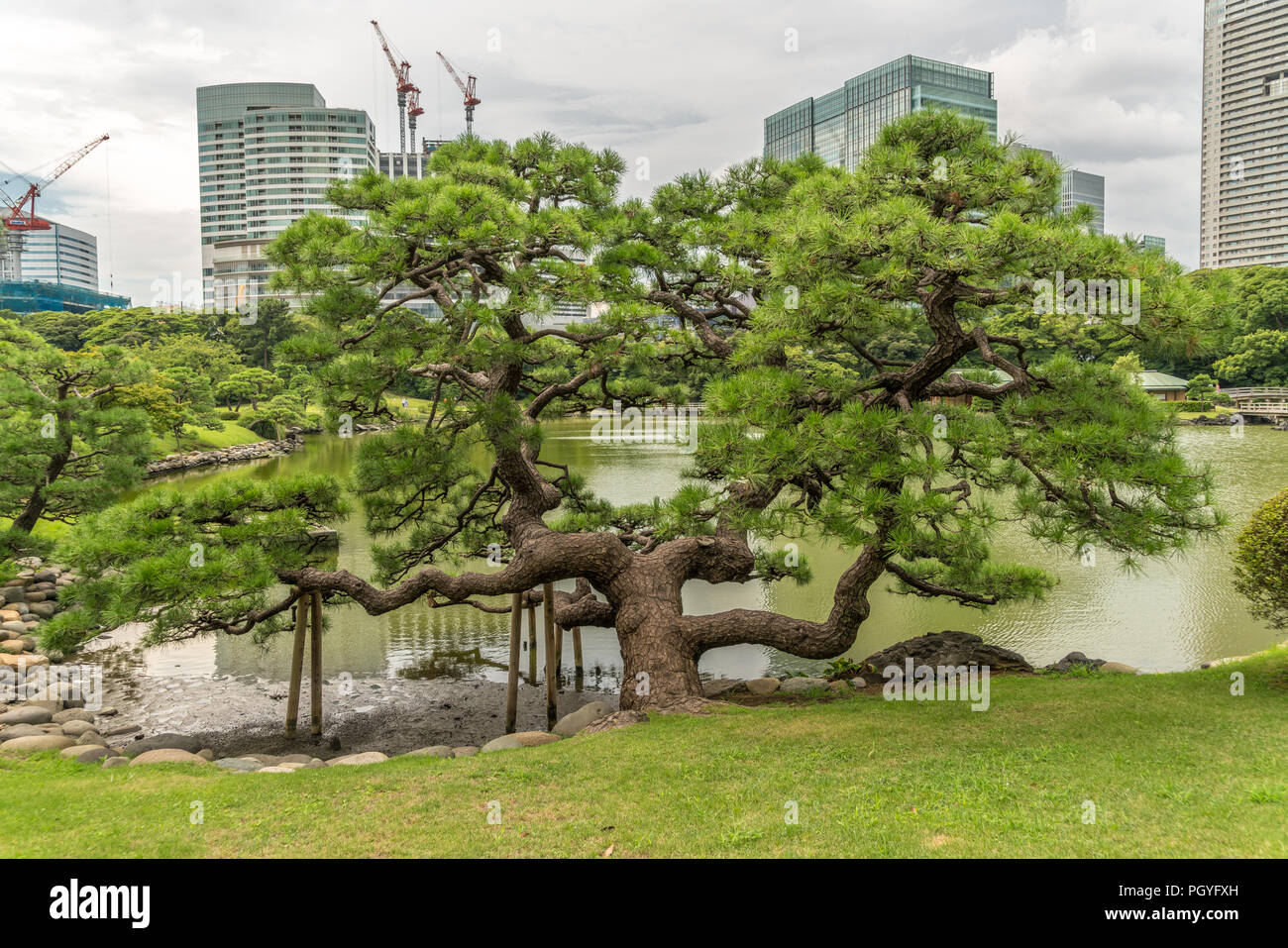 Kuromatsu yama hi-res stock photography and images - Alamy