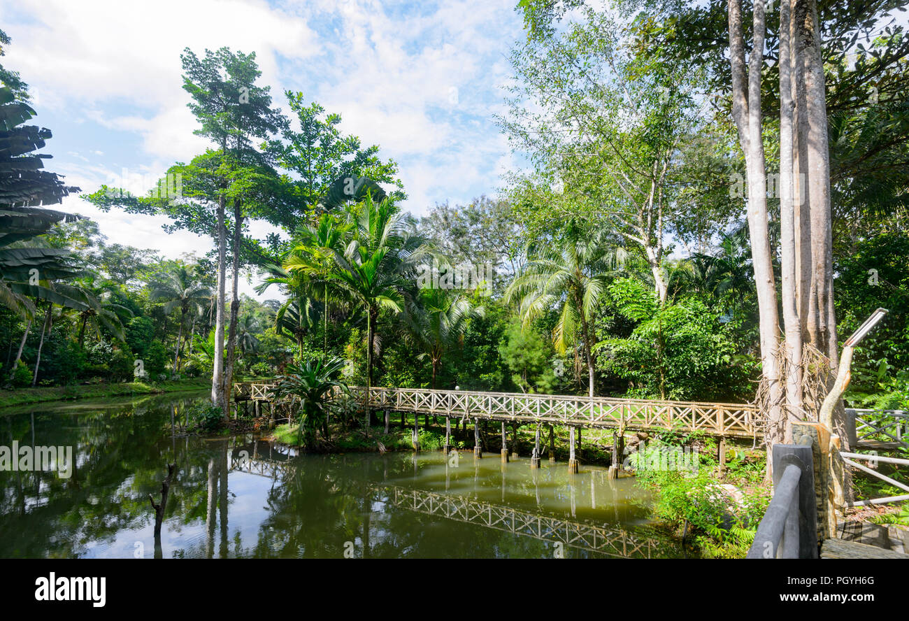 Wooden bridge along a lake at Sepilok Jungle Resort, Sandakan District ...