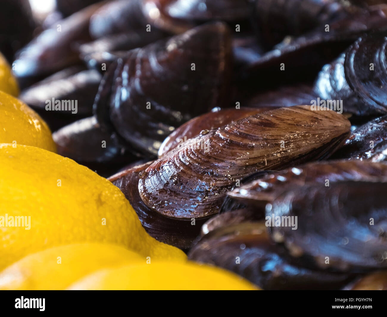 Turkish street food stuffed mussels hi-res stock photography and images ...