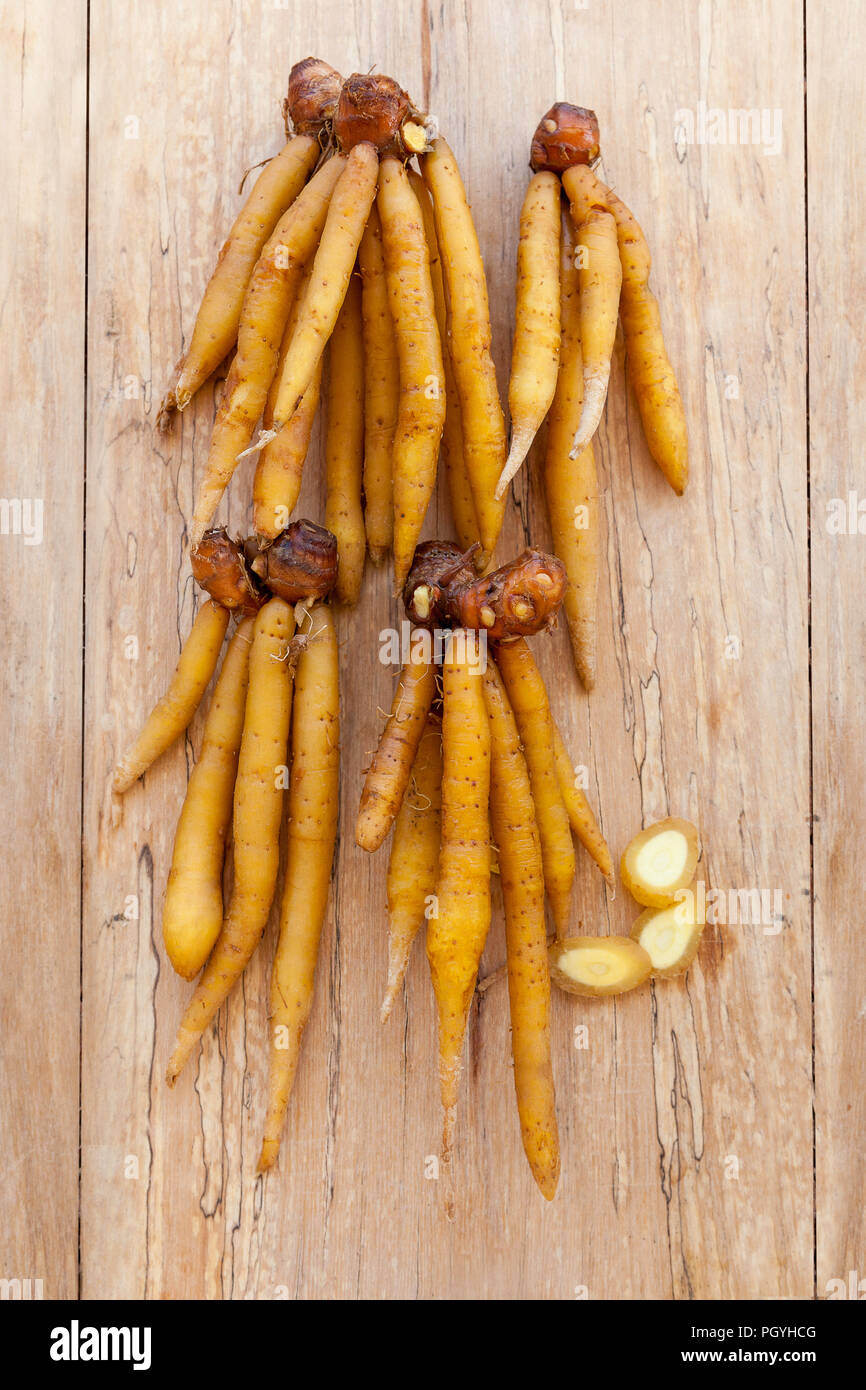 Fingerroot hi-res stock photography and images - Alamy