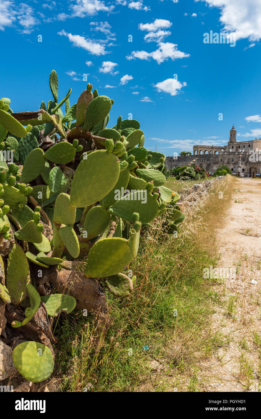 Abbey and San Vito Bay Stock Photo - Alamy