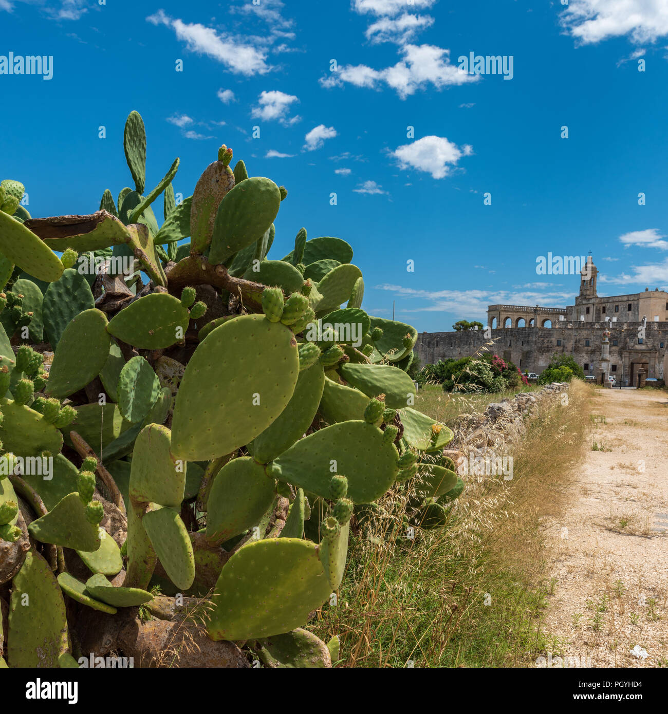 Abbey and San Vito Bay Stock Photo - Alamy