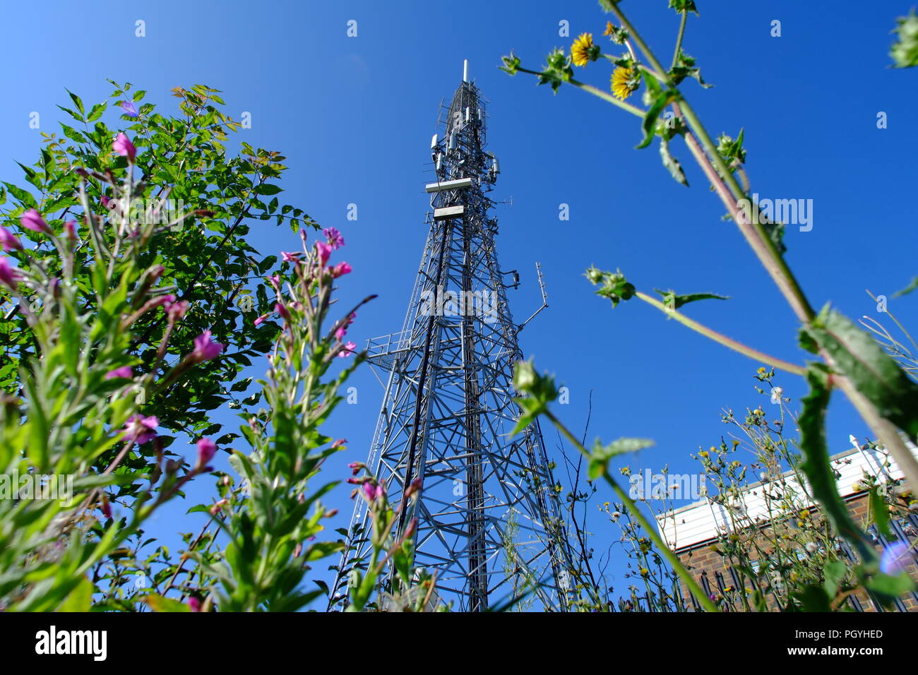 Radio mast hi-res stock photography and images - Alamy