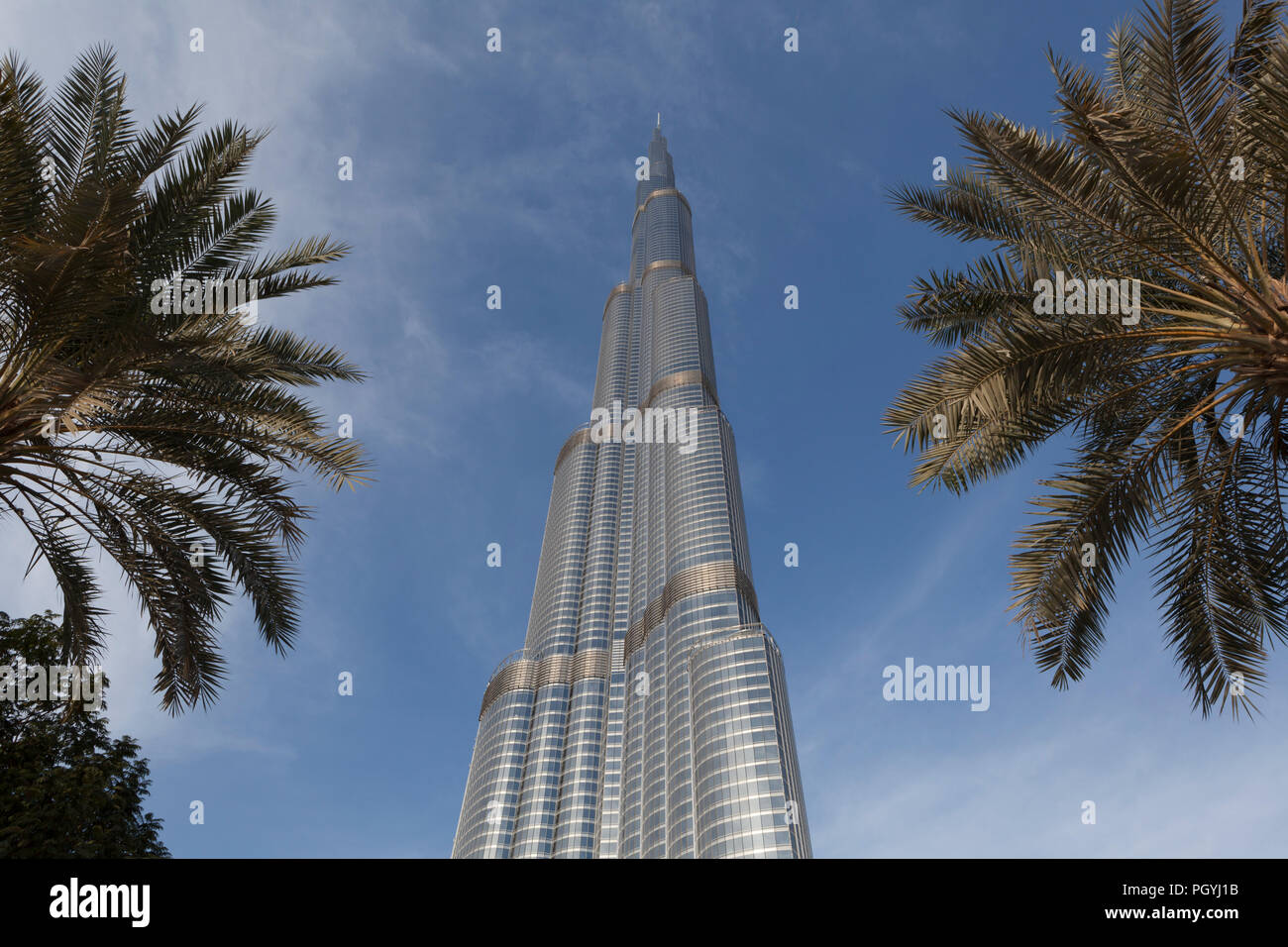 The Burj Khalifa flanked by date palm trees in Downtown Dubai, Dubai ...