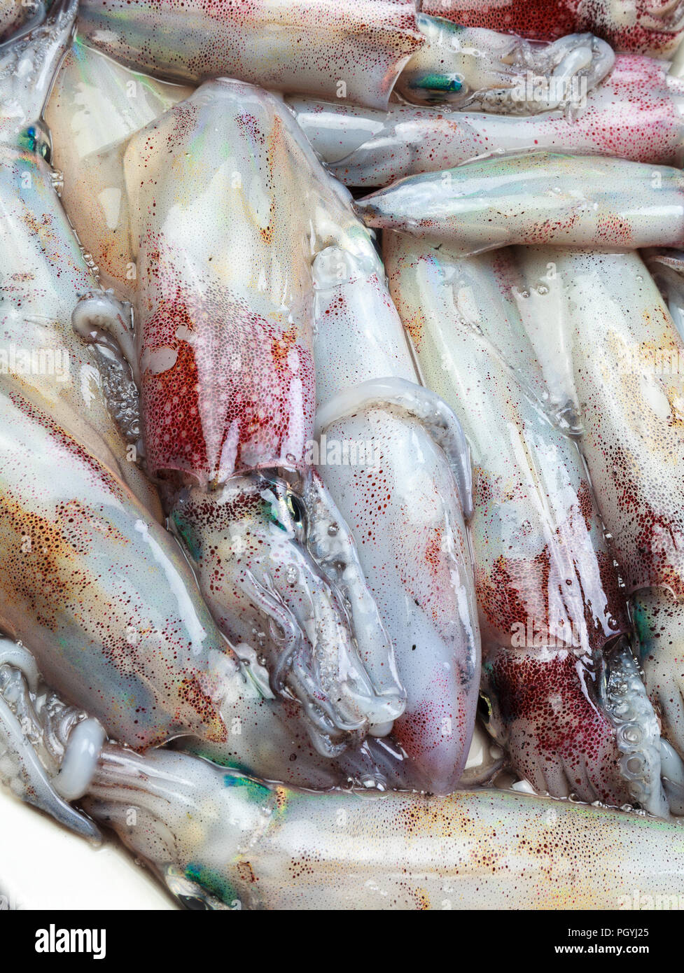 Chipiron hi-res stock photography and images - Alamy