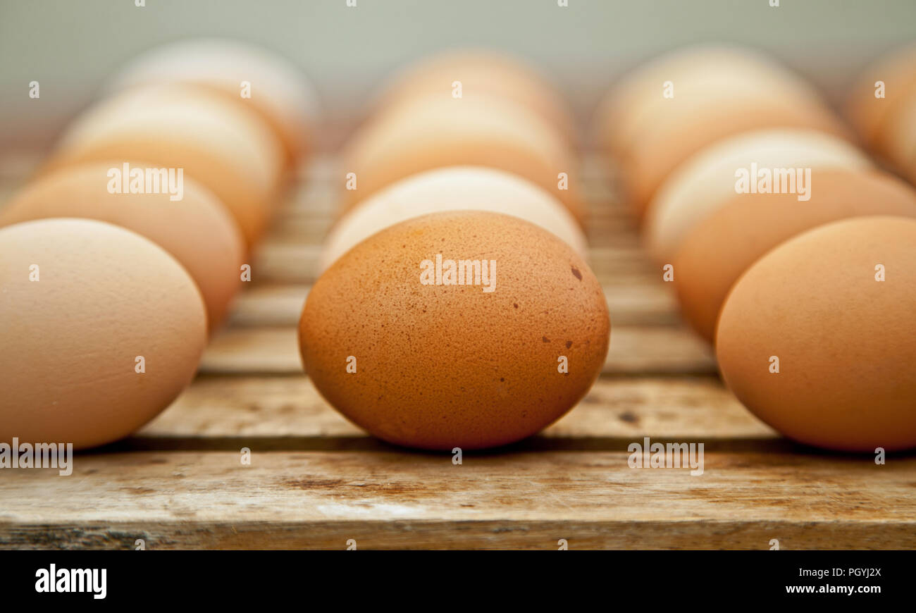Battery egg hi-res stock photography and images - Alamy