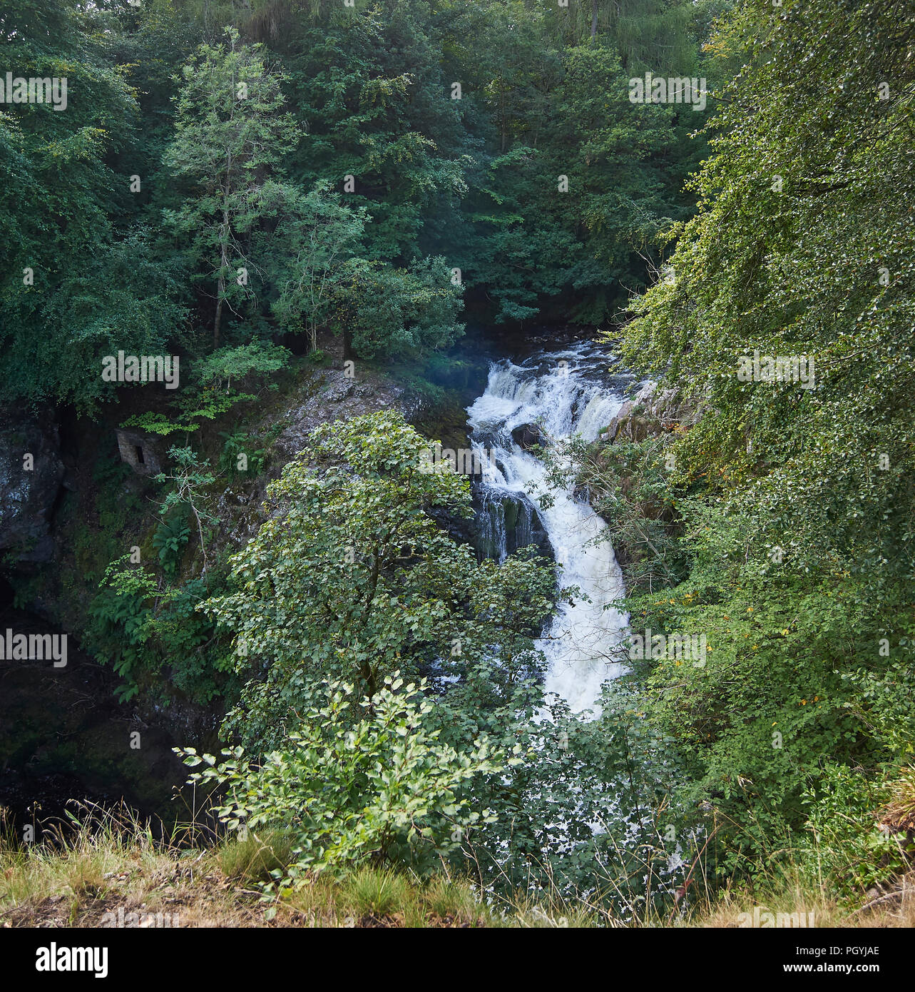 Reekie linn waterfall scotland hi-res stock photography and images - Alamy