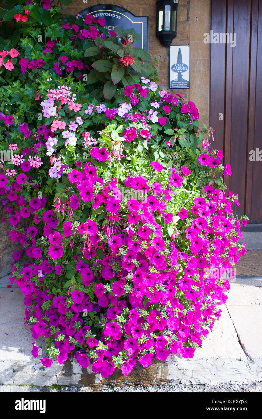 A cascading display of pink petunias in a floral planterat the entrance ...