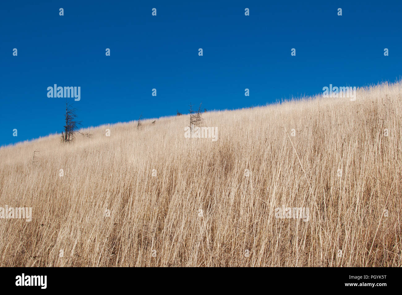 Desolate wasteland hi-res stock photography and images - Alamy