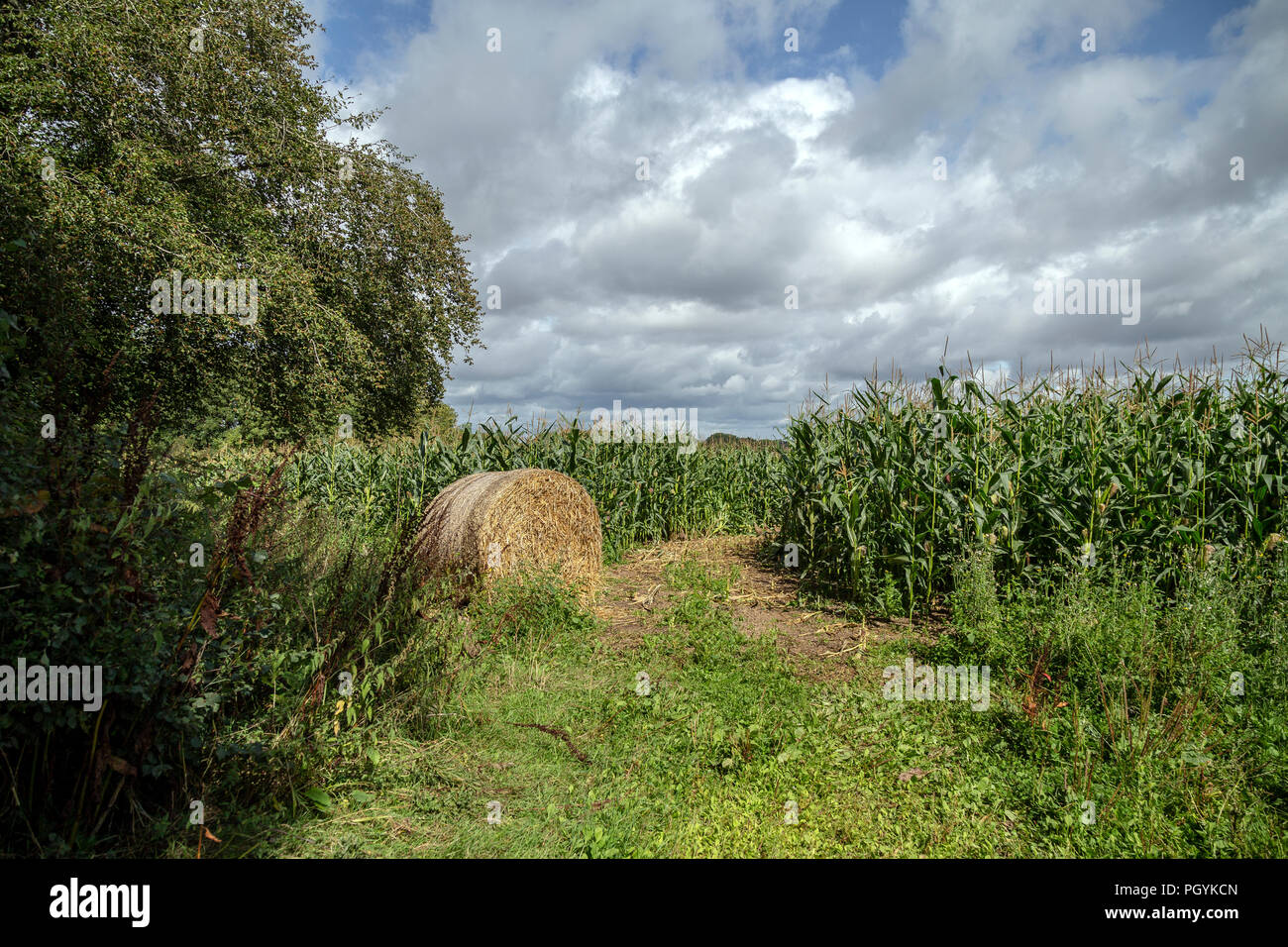 Crofting agribusiness hi-res stock photography and images - Alamy