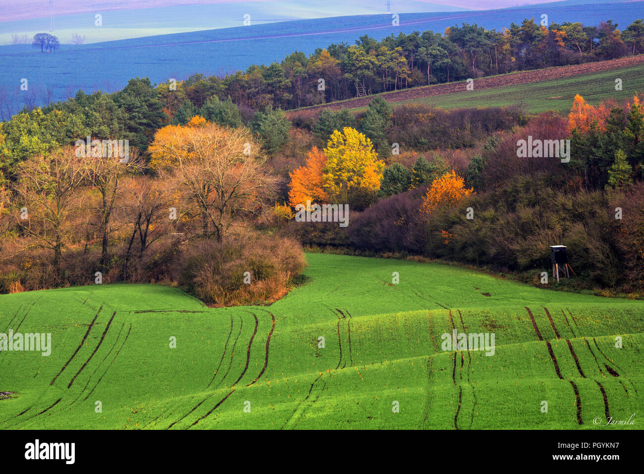 Moravske slovacko hi-res stock photography and images - Alamy