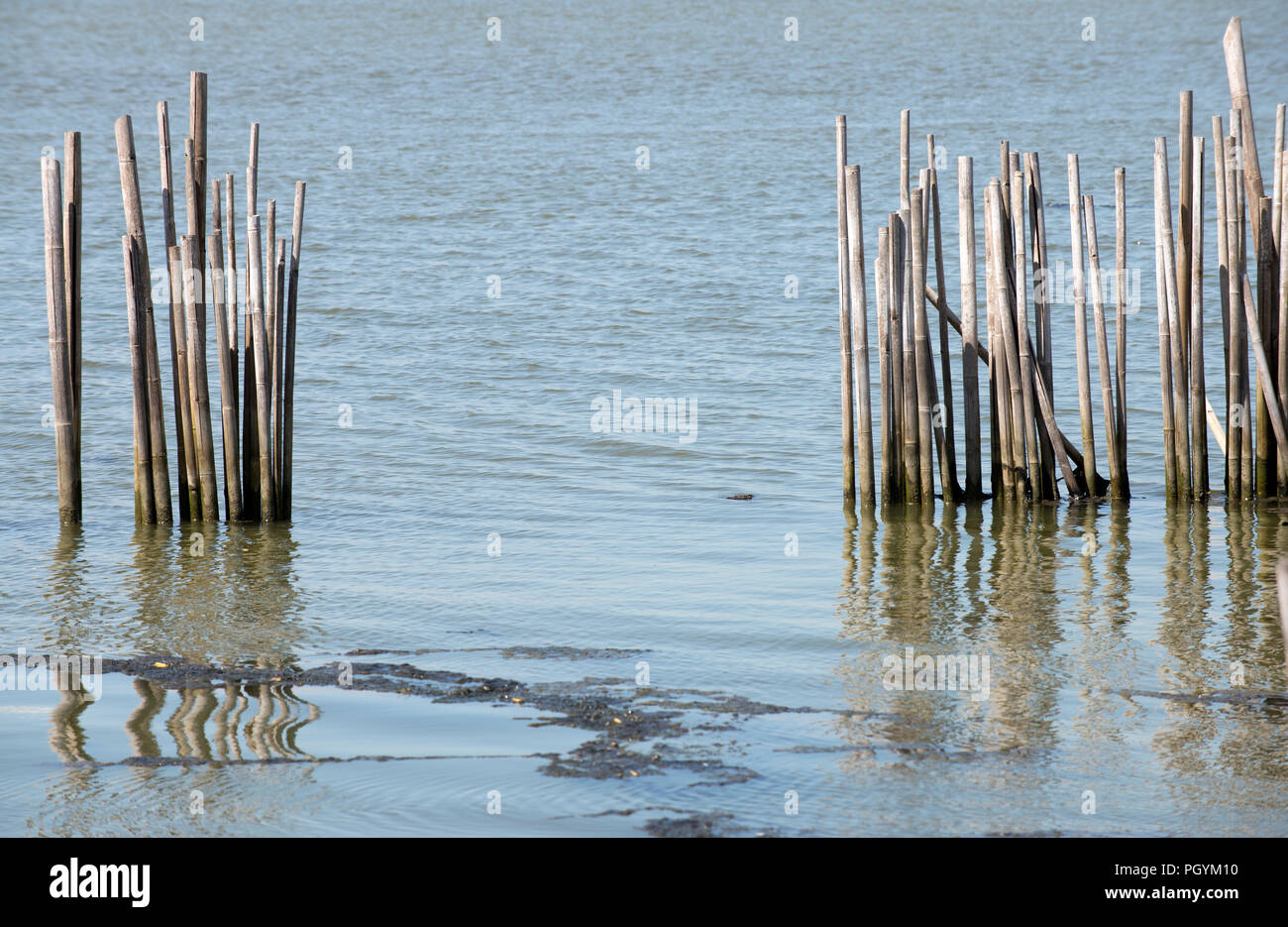 Songkhla landscape hi-res stock photography and images - Alamy