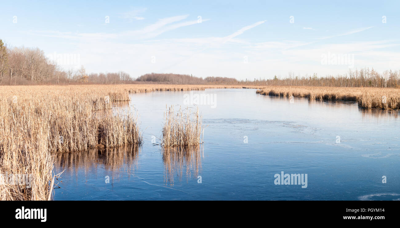 Frozen water at Mer Bleue nature conservation area, Ottawa, ON, Canada ...