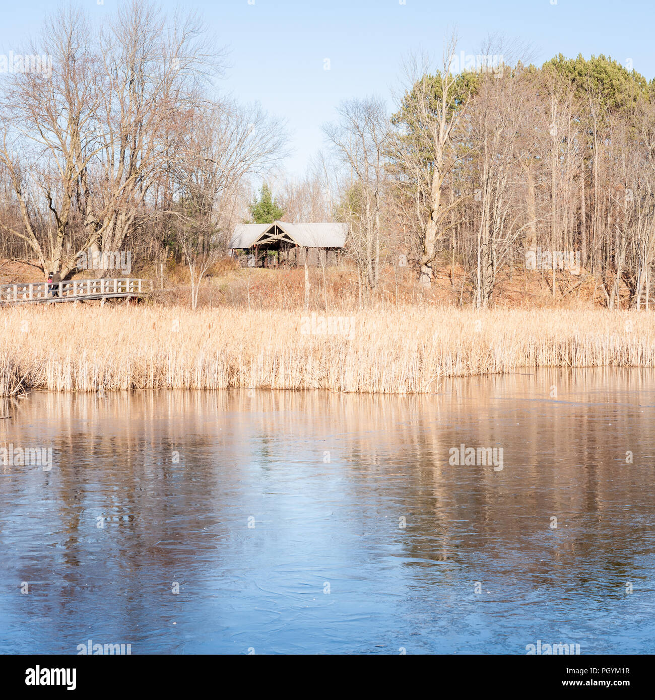 Mer Bleue nature conservation area, Ottawa, ON, Canada Stock Photo - Alamy
