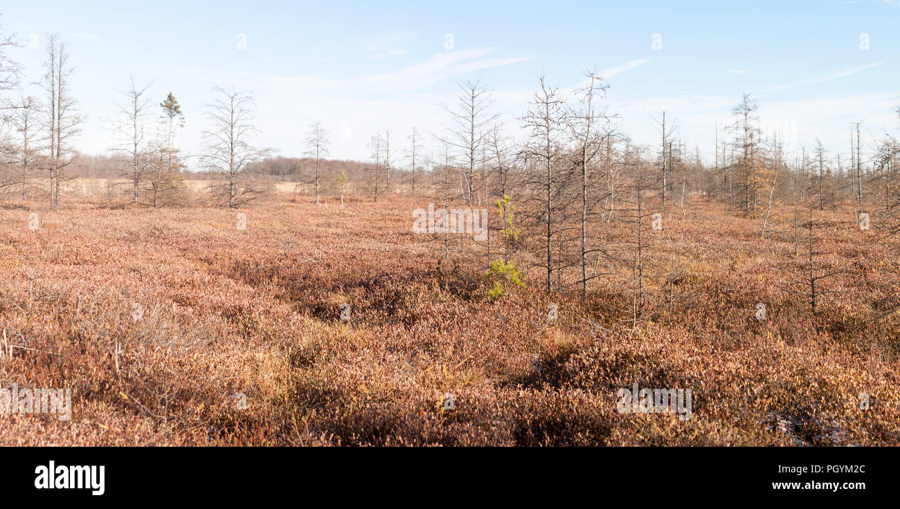 Nature conservation area hi-res stock photography and images - Alamy