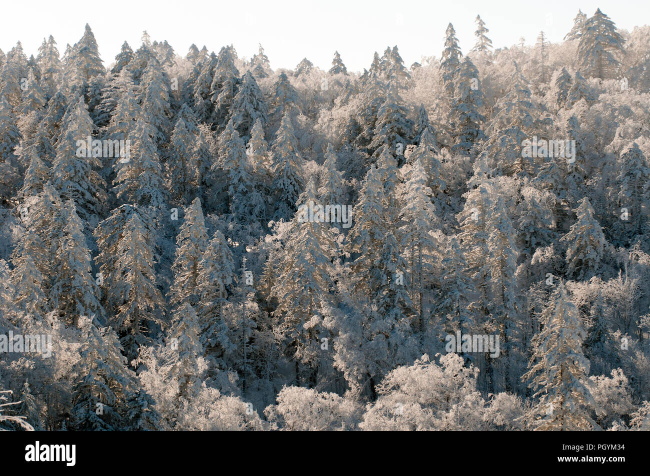 Hokkaido landscape hi-res stock photography and images - Alamy