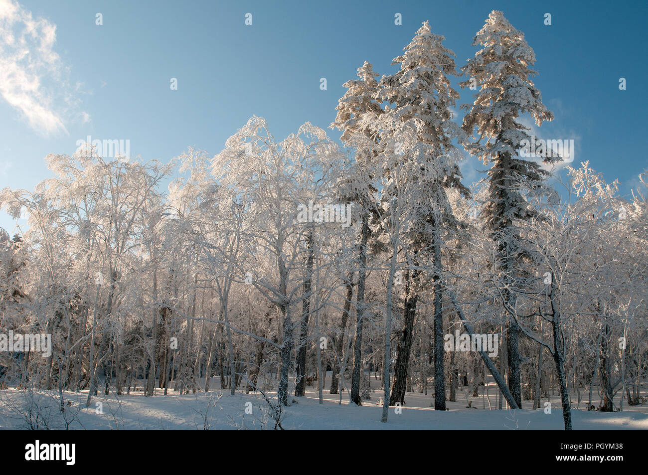 Hokkaido japan winter hi-res stock photography and images - Alamy