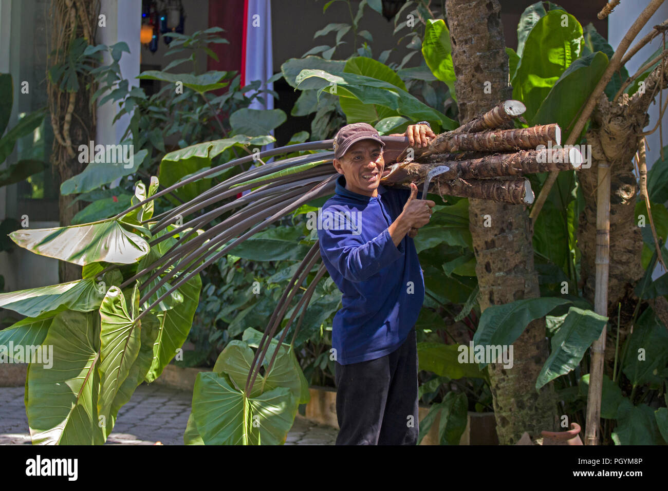 Happy farmers indonesia hi-res stock photography and images - Alamy