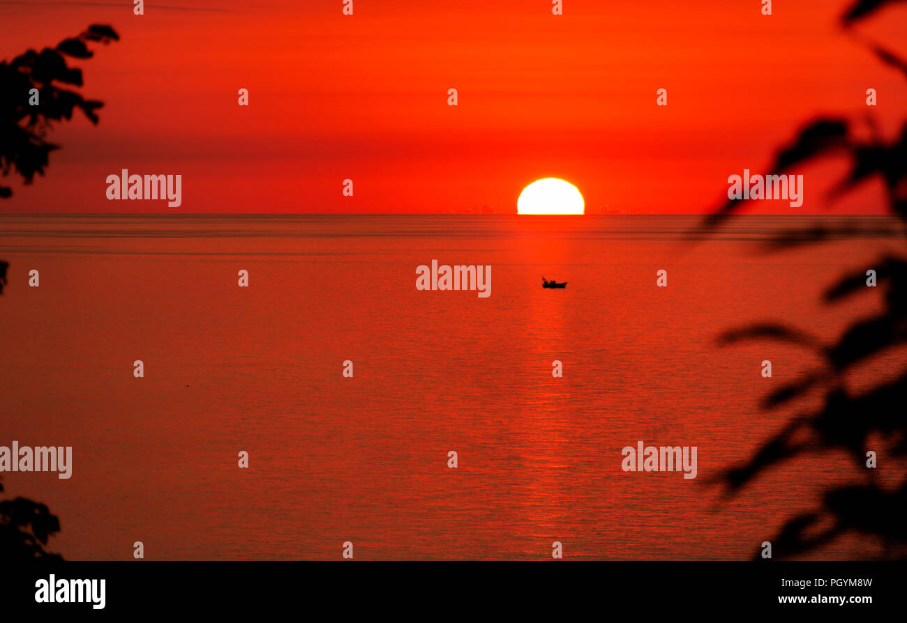 sunset on the tea garden,Rize,Turkey Stock Photo - Alamy