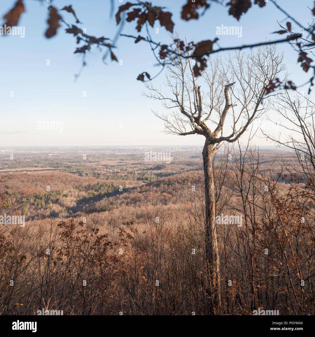 Skyline trail at the Gatineau Park Stock Photo - Alamy